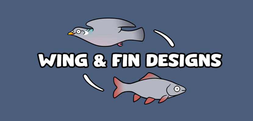 Wing & Fin Designs